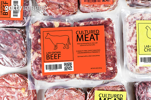 Cultured beef meat concept for artificial in vitro cell culture meat ...