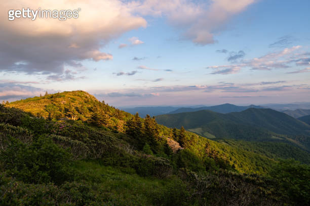 Sunset from Grassy Ridge Bald on Roan Mountain 이미지 (1250323918) - 게티이미지뱅크