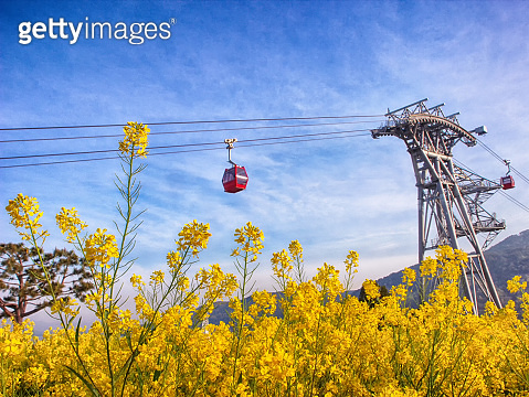 Aerial View of Sacheon Cable Car at Sunrise, Sacheon, Gyeongnam, South ...