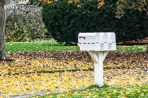 Three Rural White Mailboxes and Yellow Autumn Leaves 이미지 (1209783119 ...