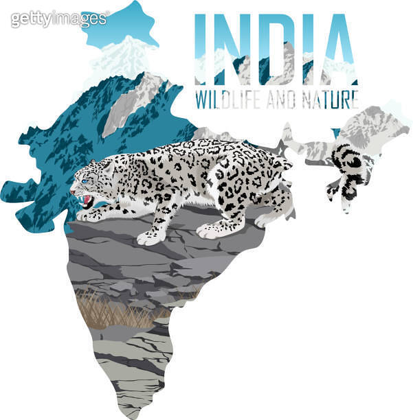 vector India map with snow leopard (1201316748) - 게티이미지뱅크