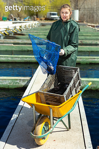 Woman catching sturgeon at fish farm (1214937846) - 게티이미지뱅크