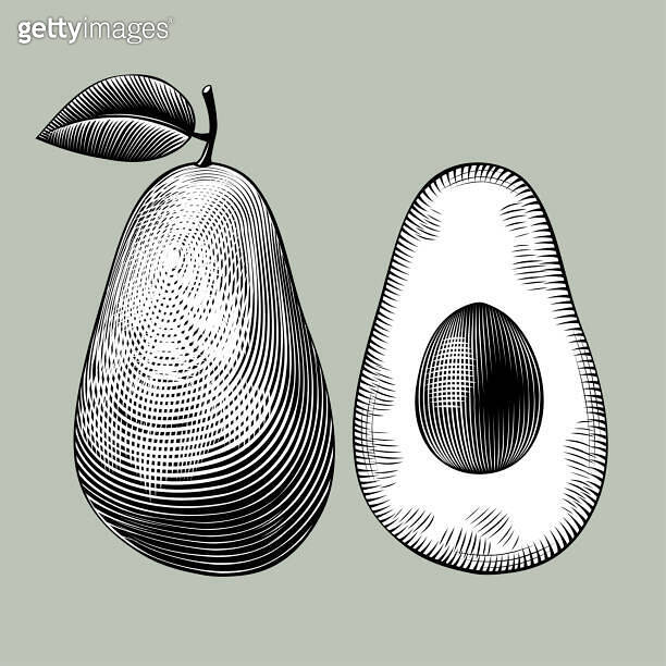 Whole and cut avocado engraving drawing 이미지 (1243479476) - 게티이미지뱅크