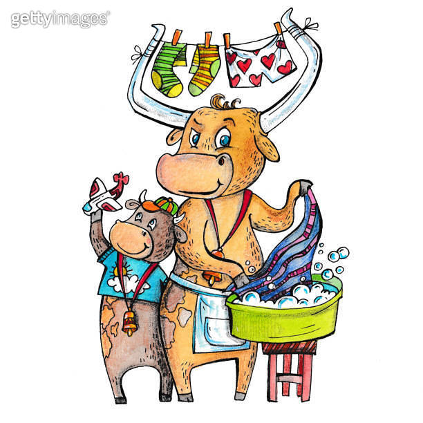 a bull and a calf, a father washing clothes, his son playing with toys ...