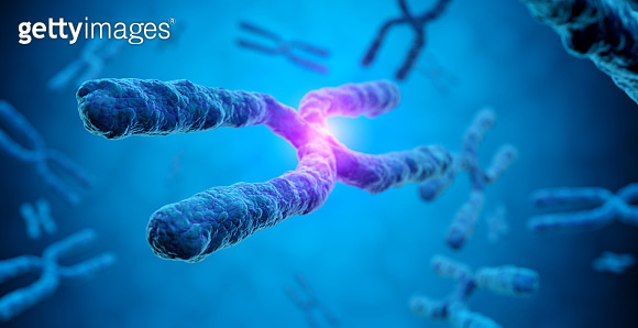 microscopic human chromosomes, natural reproduction concept 이미지 ...