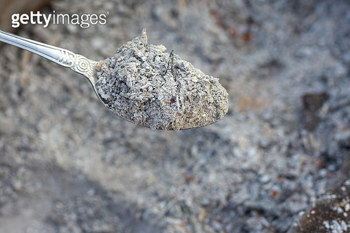 The spoon is filled with fresh ash after burning branches and grass in ...