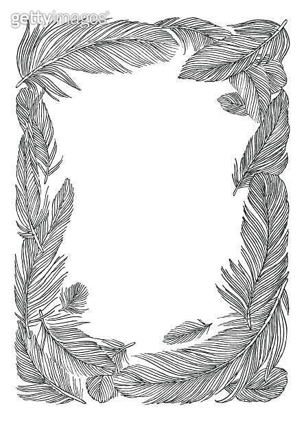 Hand drawn feather frame illustration 이미지 (1216698396) - 게티이미지뱅크