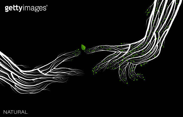 two human hand looks like tree branches 이미지 (1196967801) - 게티이미지뱅크