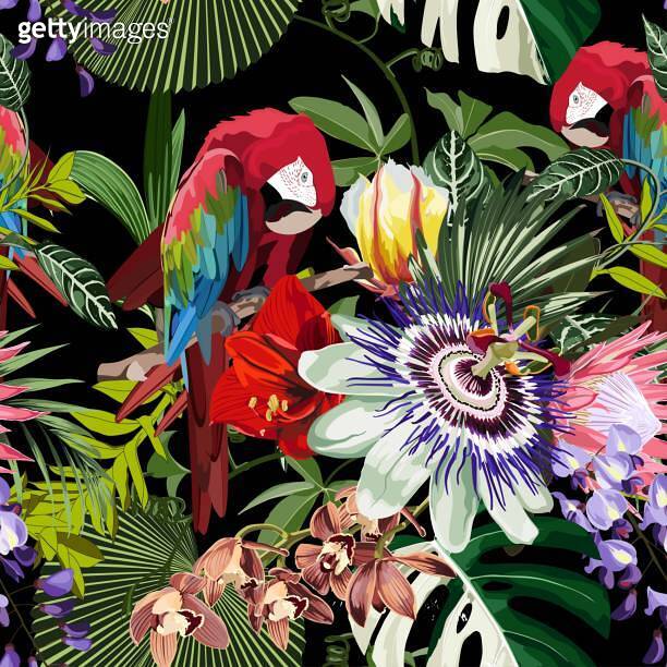 Tropical birds parrot, exotic jungle plants, leaves, flowers abstract ...