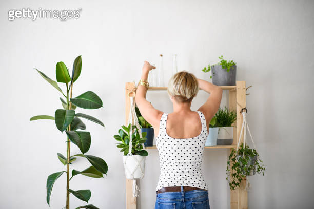 Rear view of young woman indoors at home, arranging plants on shelf ...