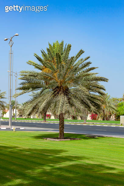 Dubai, United Arab Emirates - Typical Well Maintained, Landscaped ...