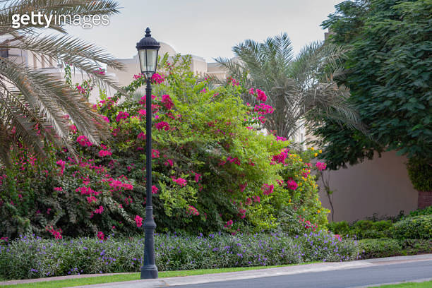 Dubai, United Arab Emirates - Street Light And Landscaped Roadside ...