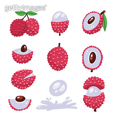 Big set if of lychee - tropical fruit. Modern flat vector style ...