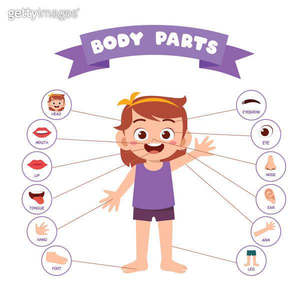 happy cute kid girl body part anatomy 이미지 (1226567147) - 게티이미지뱅크