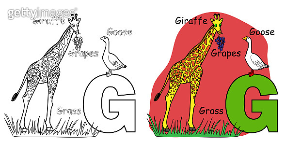 English alphabet coloring book for children. Letter G for Giraffe ...