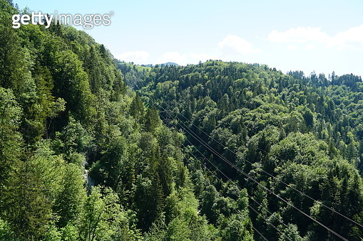 Two small hills covered by mixed forests. Between them there are wires ...
