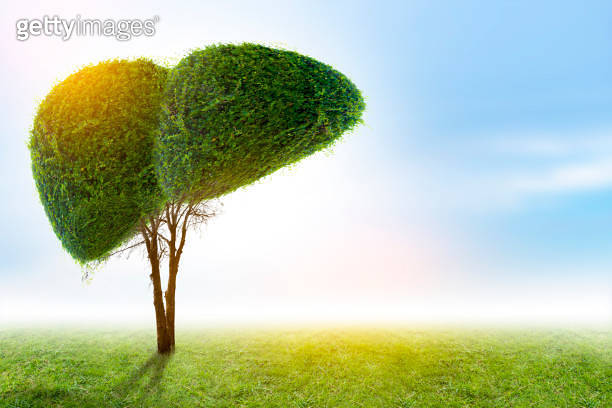 Illustration of a tree in the shape of a liver (environment and ...