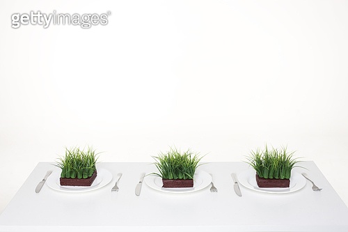 Place settings with servings of grass 이미지 (a10722394) - 게티이미지뱅크