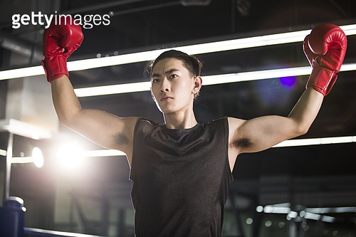 Boxer cheering in boxing ring 이미지 (a10742234) - 게티이미지뱅크