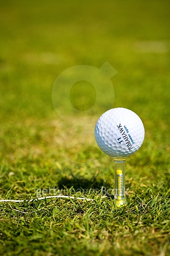 Close up of golf ball on spring-loaded golf tee 이미지 (a10905427) - 게티이미지뱅크