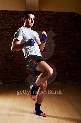 portrait of mma fighter in boxing pose against brick wall (a10837714 ...
