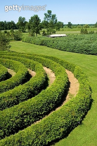 Sculpted green maze shrubbery in a country garden. 이미지 (a11254375) - 게티 ...