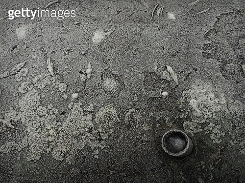 winter texture 무료 이미지 (jv11401861) - 게티이미지뱅크