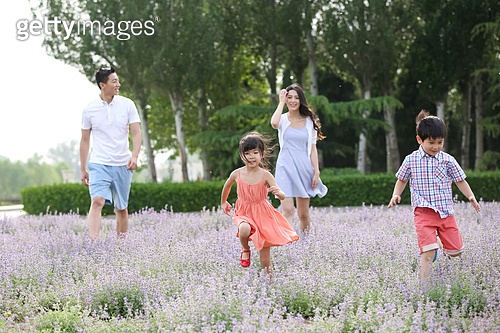 Happy families play in the suburbs 이미지 (vs12403966) - 게티이미지뱅크