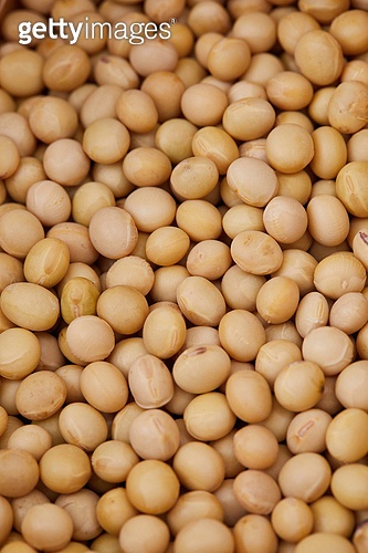 곡식 (식물), 음식재료 (음식), 농작물, 날것, 메주, 콩 이미지 (jv12609268) - 게티이미지뱅크