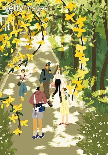 청년 (성인), 풍경 (컨셉), 고등학생, 학생, 봄, 개나리 이미지 (jv12626078) - 게티이미지뱅크