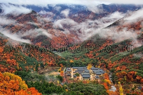 상업적 사용이 가능한 무료이미지 - 게티이미지뱅크