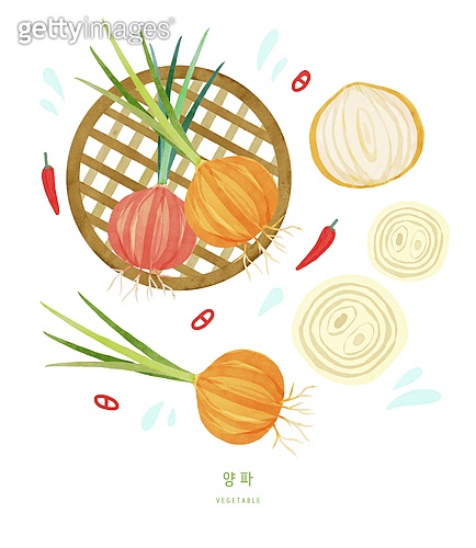 프레시 (컨셉), 음식재료 (음식), 채소 (음식), 양파 이미지 (jv12710954) - 게티이미지뱅크