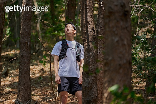 자연풍경 (교외전경), 여름, 숲속 (산림지역), 달리기 (물리적활동), Cross-country Running (Off ...