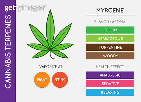 Cannabis Terpene Information Chart. Aroma and Flavor with Health ...