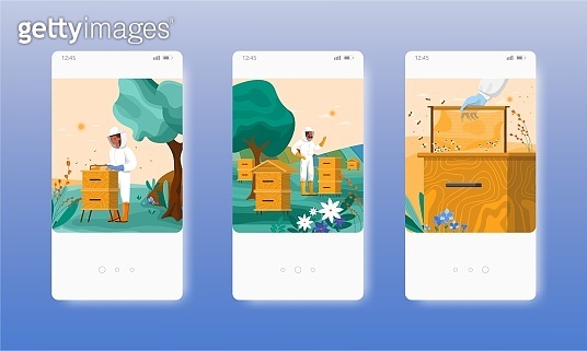 Honey harvest. Apiary farm. Beekeeper. Mobile app screens, vector ...