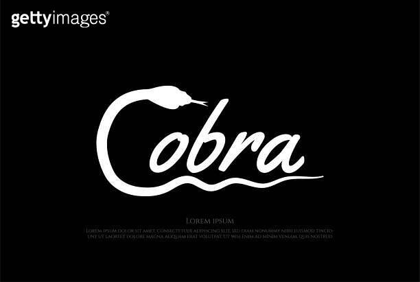 Snake Letter Cobra Word Text Font Type Typography Logo Design Vector ...