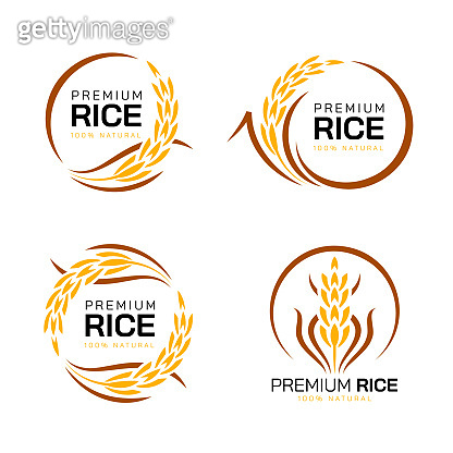 Premium rice logo - yellow brown paddy rice with circle style ...