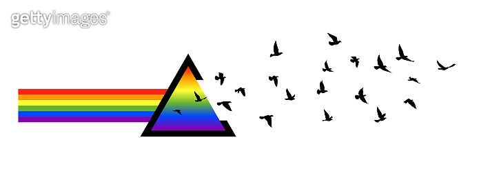 Flying birds silhouettes with spectrum color prism triangle on white ...