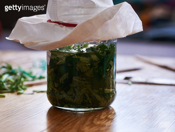 Shot of cannabis leaves soaking in fermented fruit juice (1337554265 ...