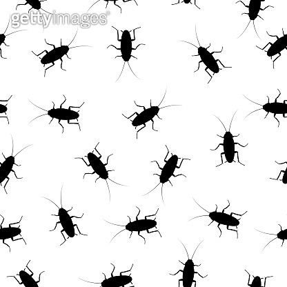 Cockroach insect seamless pattern background, Pest bug top view. Flat ...