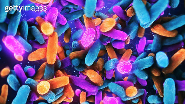 Bacteria Lactobacillus in human intestine (1338810328) 일러스트, 무료 일러스트 ...