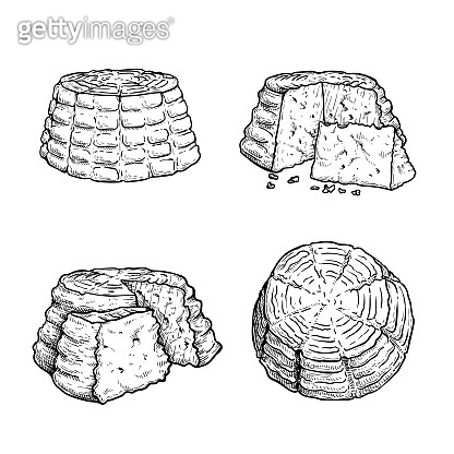 Italian cheese Ricotta set. Hand drawn sketch style drawings ...