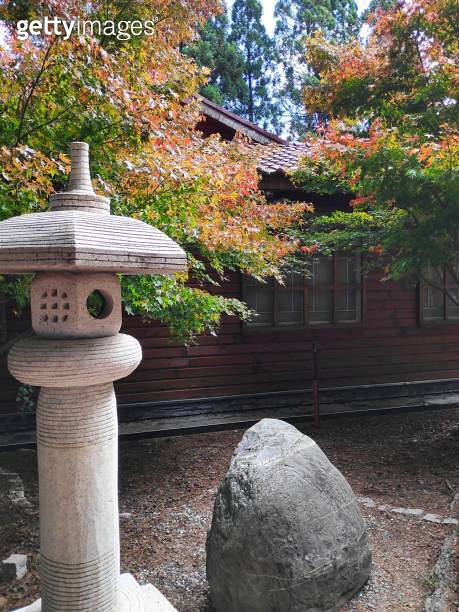 Sweet and organic plums grown at Fu Shou Shan Farm mountain in Taiwan ...