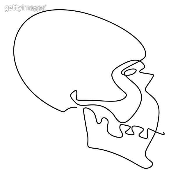 Human skull. Continuous line drawing. Humorous vector illustration. 이미지 ...