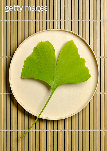 Ginkgo leaf on a balsa wood cap over a bamboo mat, ginkgo biloba leaf ...