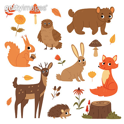 Set of autumn forest animals and plants.Bear, owl, squirrel, fox, deer ...