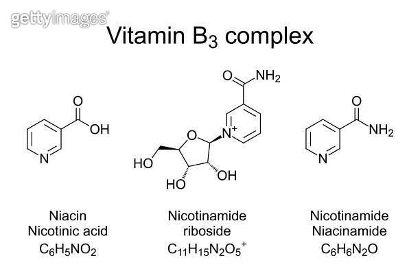 Vitamin B3 complex, nicotinamide, niacin and nicotinamide riboside ...