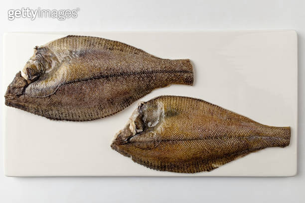 flat fish 이미지 (1328839697) - 게티이미지뱅크