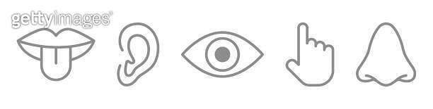 Sense sign set. Ear, eye, nose, mouth, tongue, hand line icons. Five ...