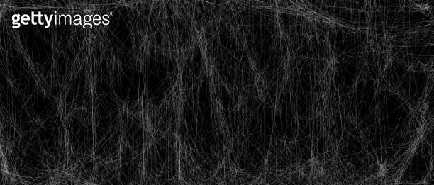 Realistic spider web background texture. Hanging cobweb for halloween ...